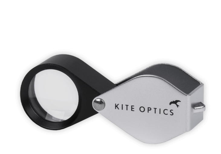 British Wildlife | The magazine for the modern naturalist