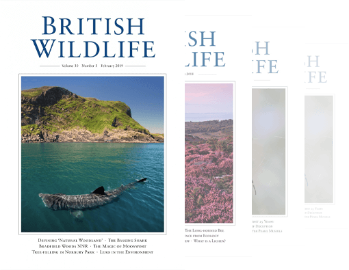 British Wildlife | The magazine for the modern naturalist