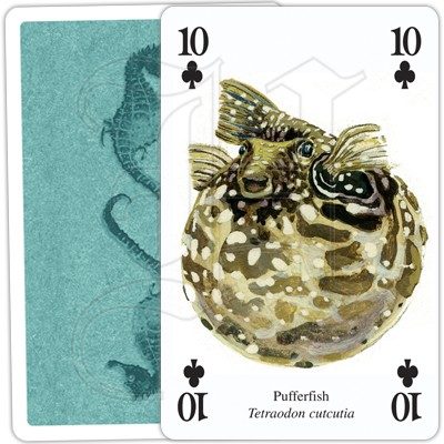 Ocean Life Playing Cards | NHBS Gifts