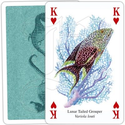 Ocean Life Playing Cards | NHBS Gifts