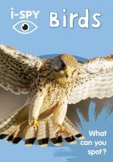 i-SPY Garden Birds: What Can You Spot? | NHBS Field Guides & Natural ...