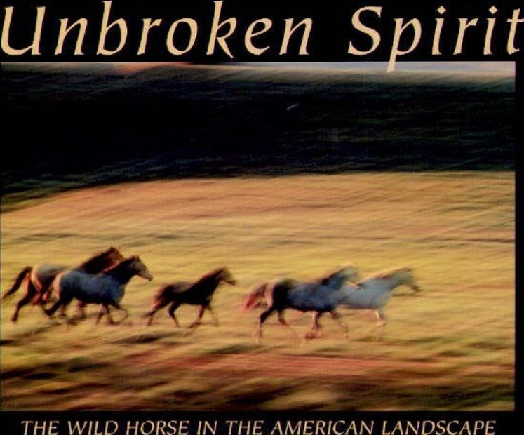 Unbroken Spirit: The Wild Horse in the American Landscape | NHBS ...