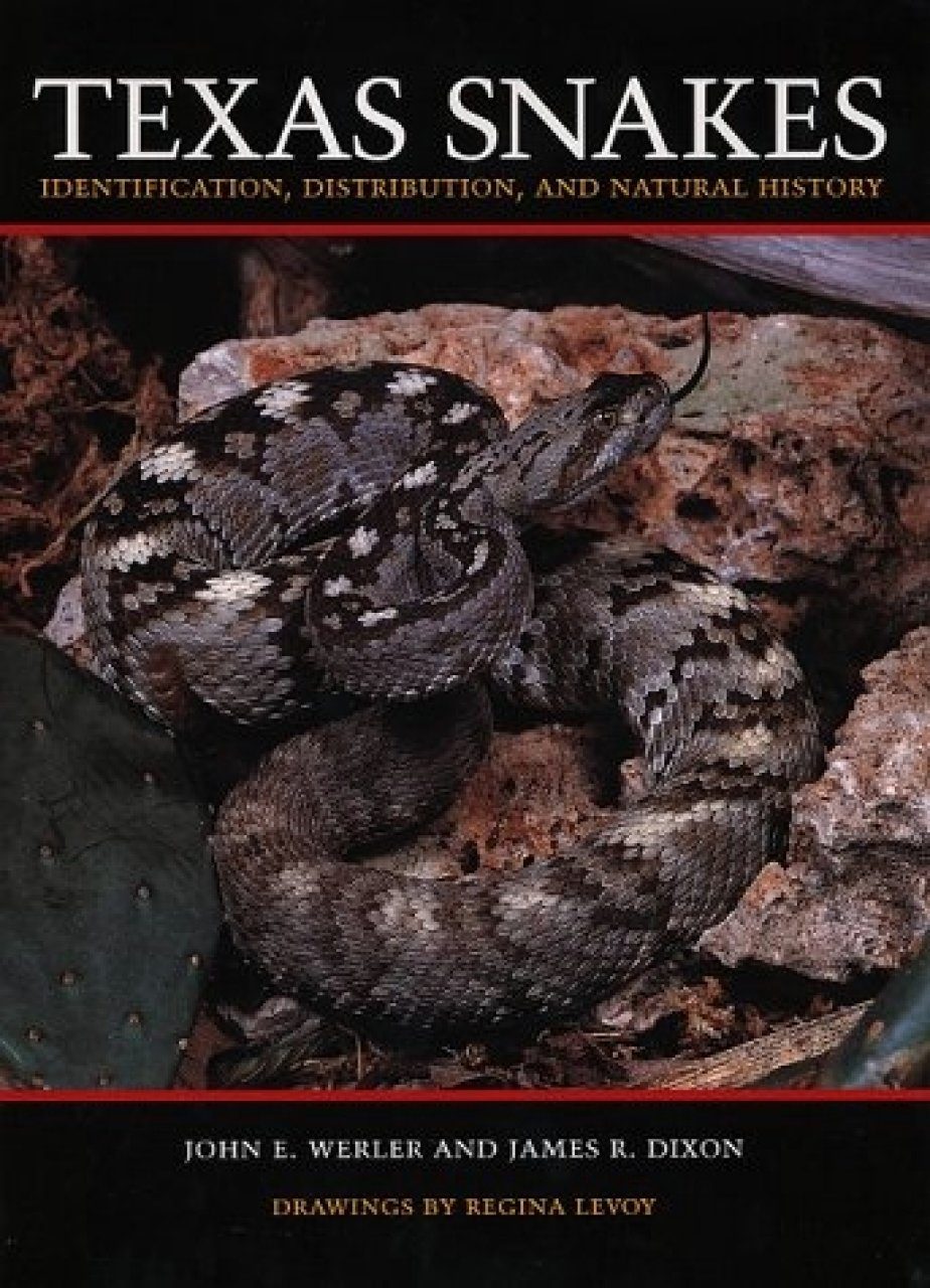 Texas Snakes: Identification, Distribution, and Natural History | NHBS ...