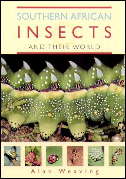 Southern African Insects and their World | NHBS Academic & Professional ...