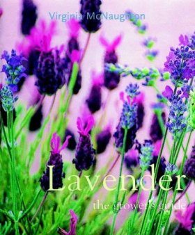 Lavender: The Grower's Guide | NHBS Field Guides & Natural History