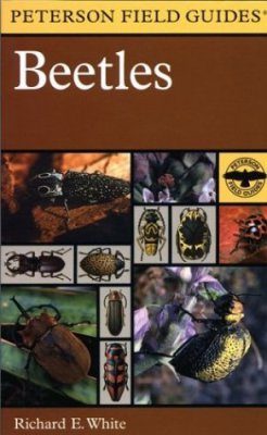 Peterson Field Guide to Beetles | NHBS Field Guides & Natural History