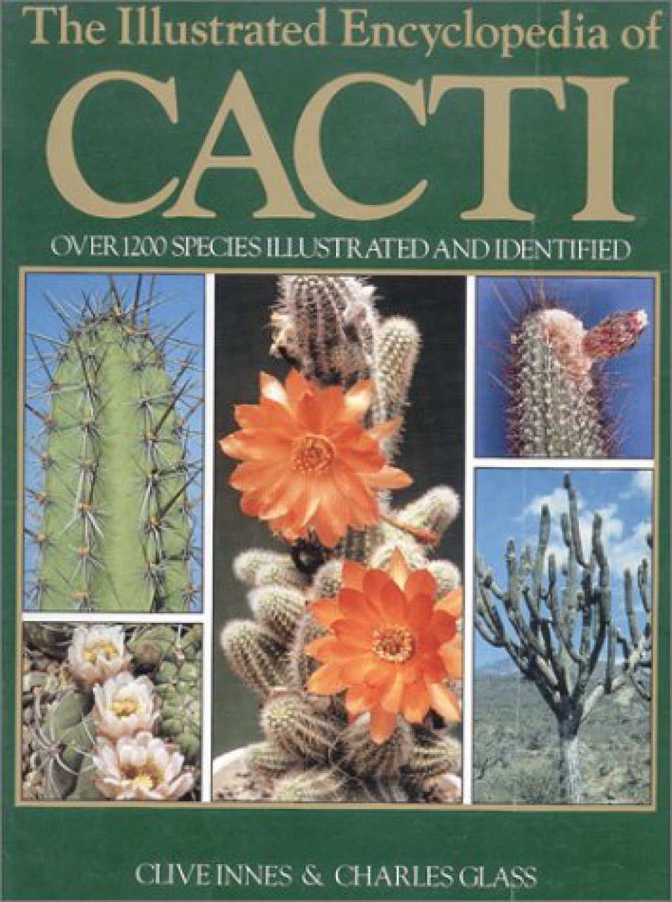 The Illustrated Encyclopedia of Cacti | NHBS Field Guides & Natural History