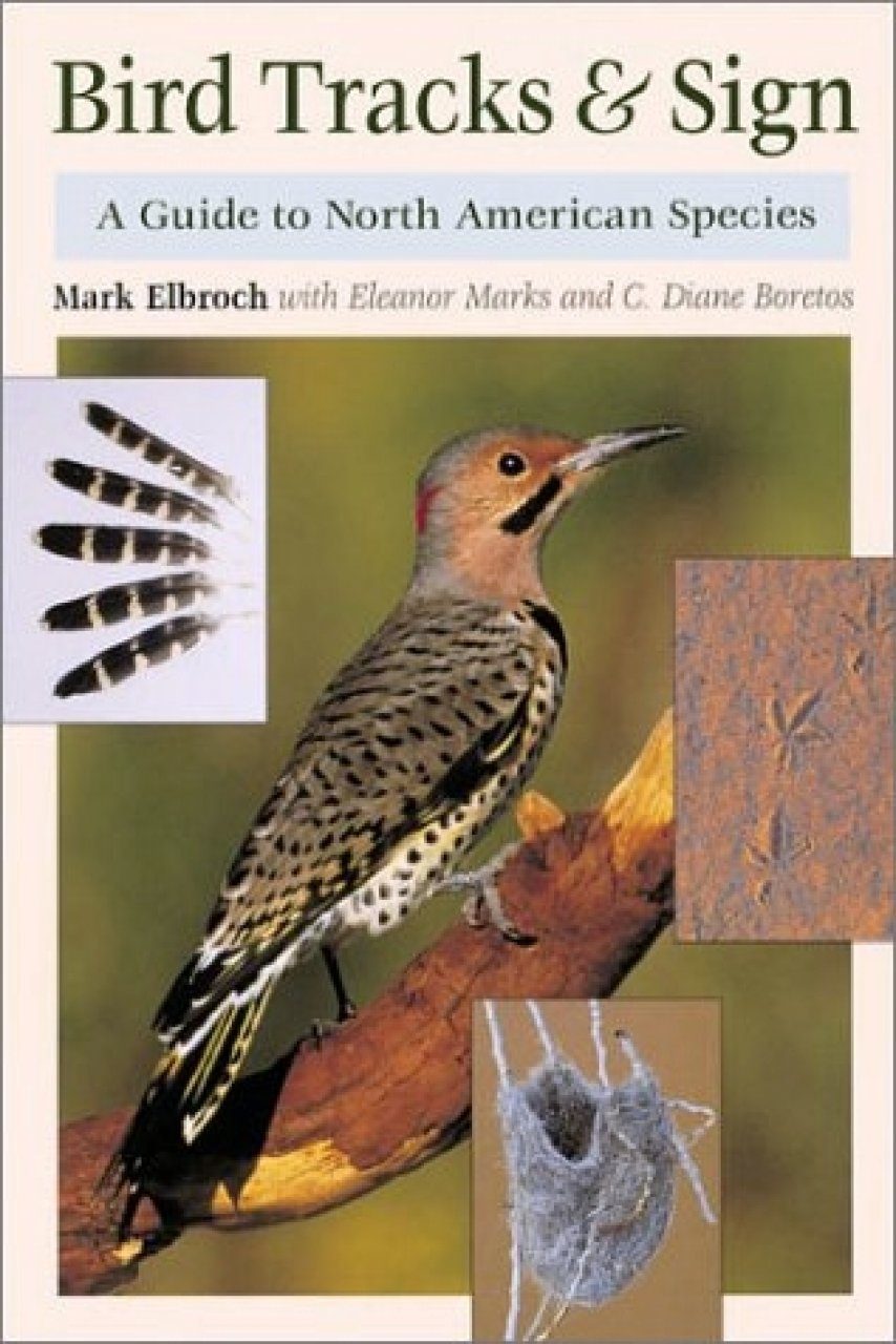 Bird Tracks and Signs: A Guide to North American Species | NHBS Field ...