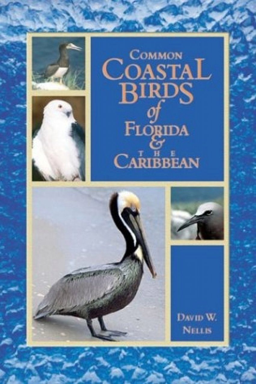 Common Coastal Birds of Florida and the Caribbean | NHBS Field Guides ...