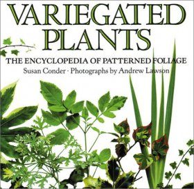 Variegated Plants: The Encyclopedia of Patterned Foliage | NHBS ...