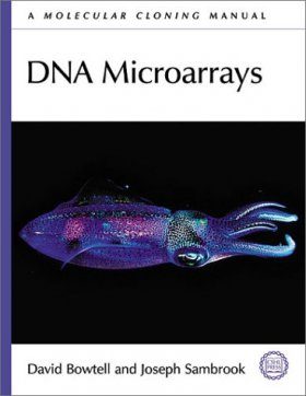 DNA Microarrays: A Molecular Cloning Manual | NHBS Academic ...