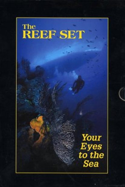 The Reef Set: Florida, Caribbean, Bahamas: Reef Creature, Reef Fish and ...