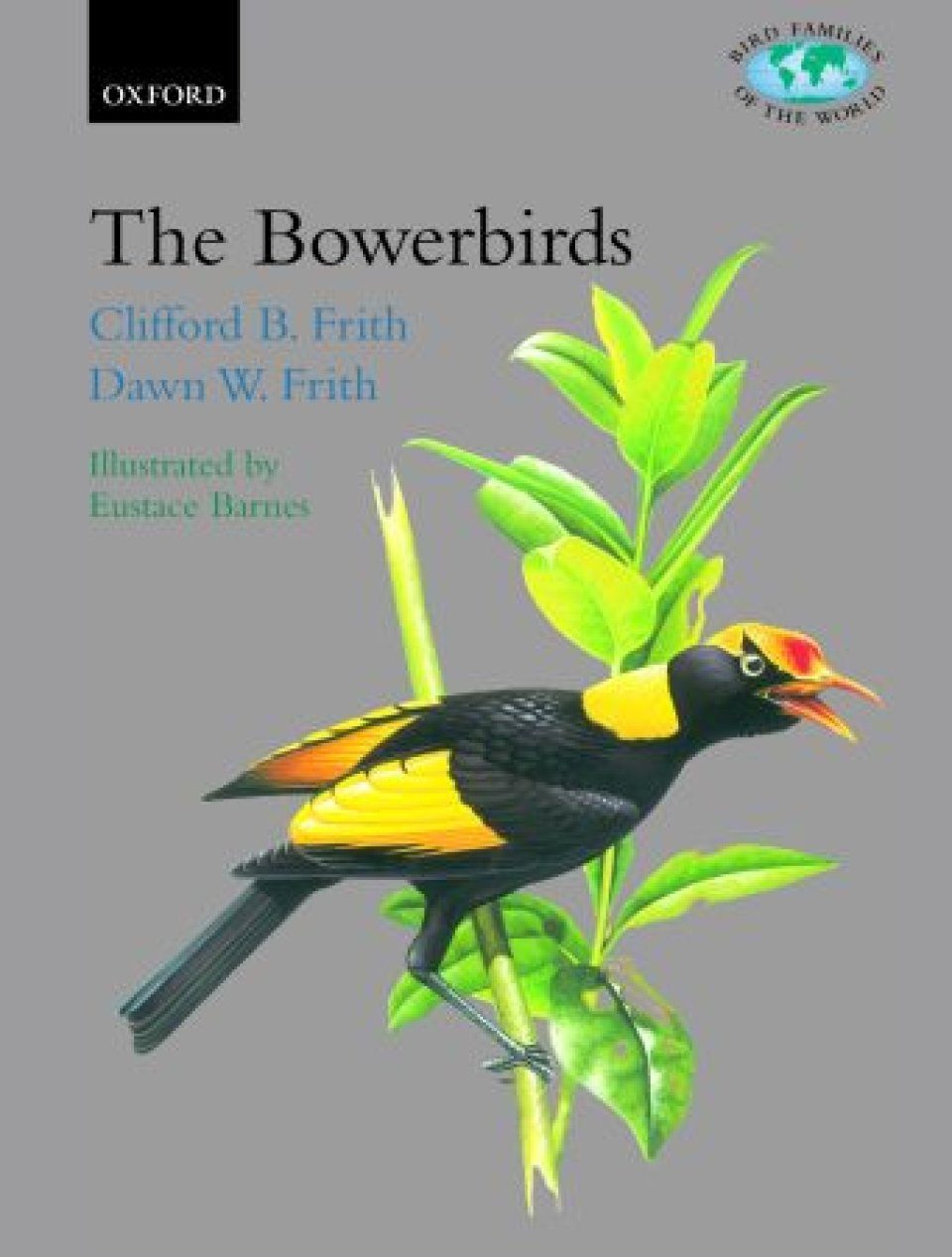 The Bowerbirds: Ptilonorhychidae | NHBS Field Guides & Natural History