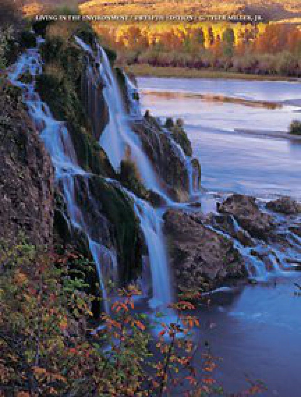 Living In The Environment Principles Connections And Solutions Nhbs Academic And Professional
