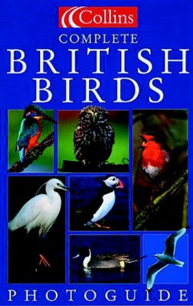 Collins Photoguide to Complete British Birds | NHBS Field Guides ...