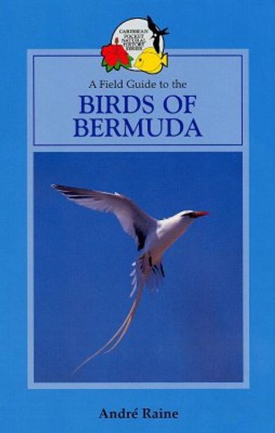 Field Guide to the Birds of Bermuda | NHBS Field Guides & Natural History