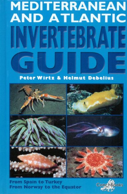 Mediterranean and Atlantic Invertebrate Guide | NHBS Field Guides ...