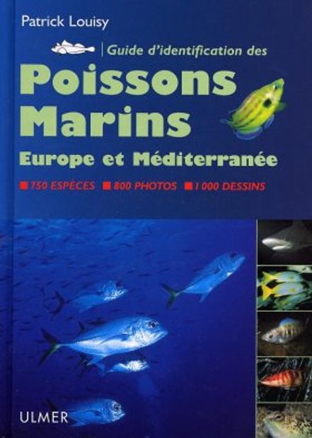 Guide d'Identification des Poissons Marins Europe et Méditerranée ...