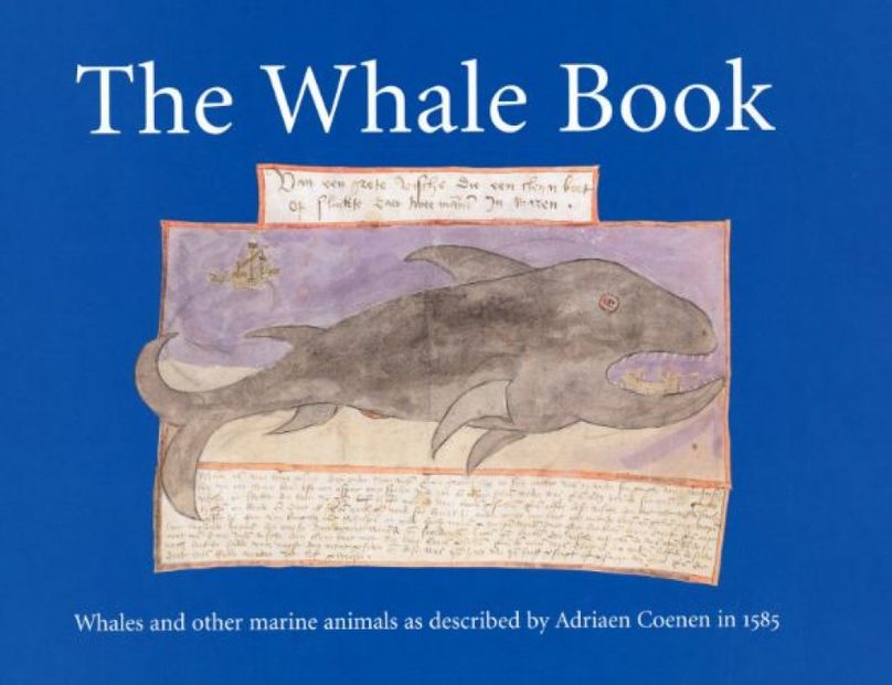 The Whale Book | NHBS Academic & Professional Books