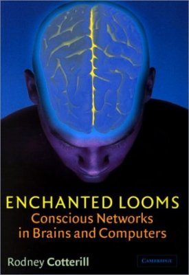 Enchanted Looms: Conscious Networks in Brains and Computers | NHBS ...