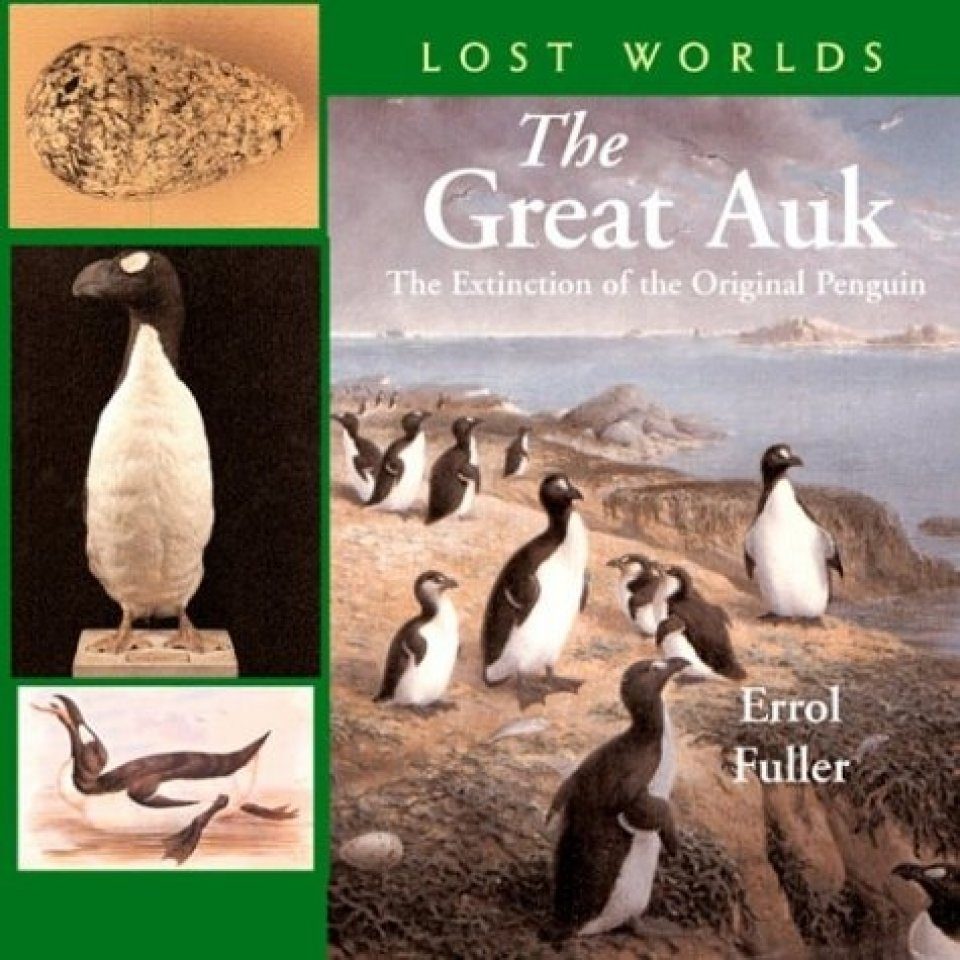 The Great Auk: The Extinction of the Original Penguin | NHBS Academic ...