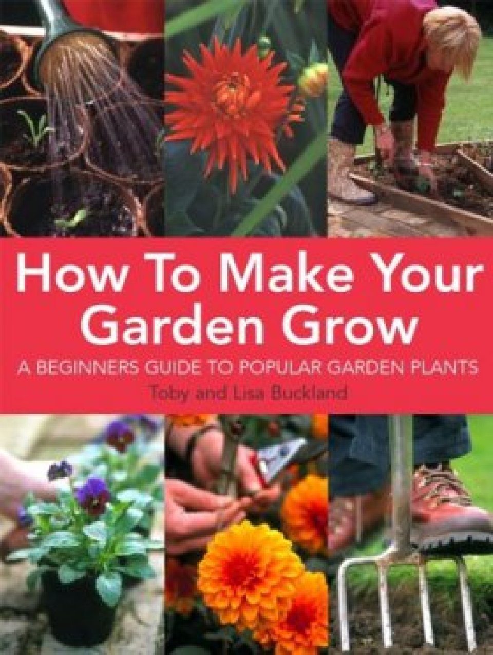 How To Make Your Garden Grow A Beginners Guide To Popular Garden