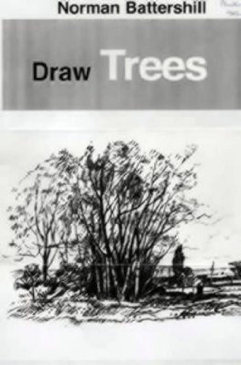 Draw Trees | NHBS Academic & Professional Books