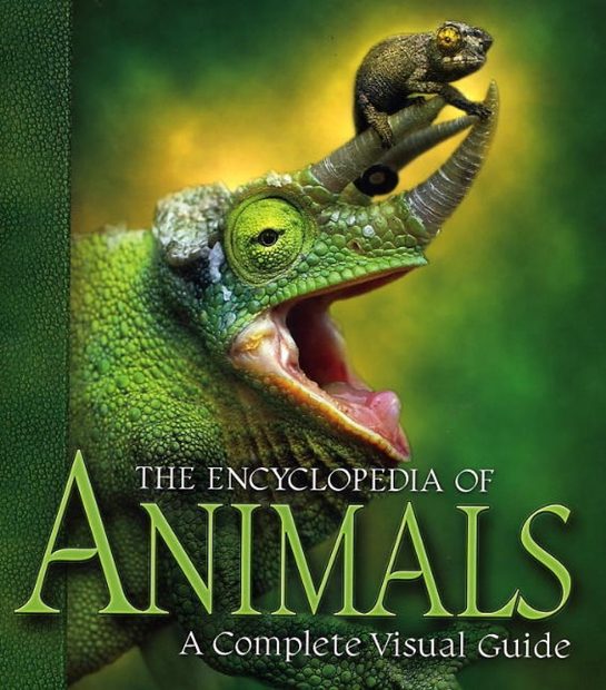 The Encyclopedia of Animals: A Complete Visual Guide | NHBS Academic ...