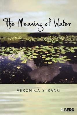 The Meaning of Water | NHBS Academic & Professional Books