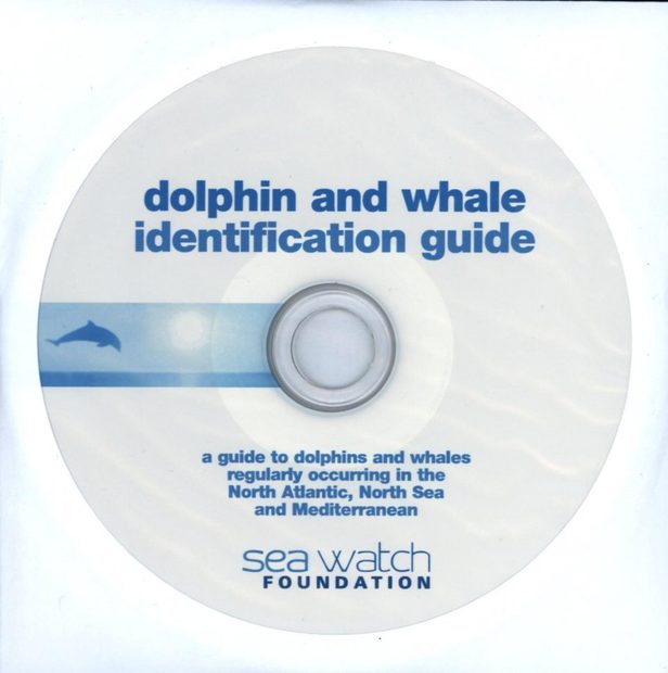 Whale and Dolphin Identification CD-ROM | NHBS Academic & Professional ...