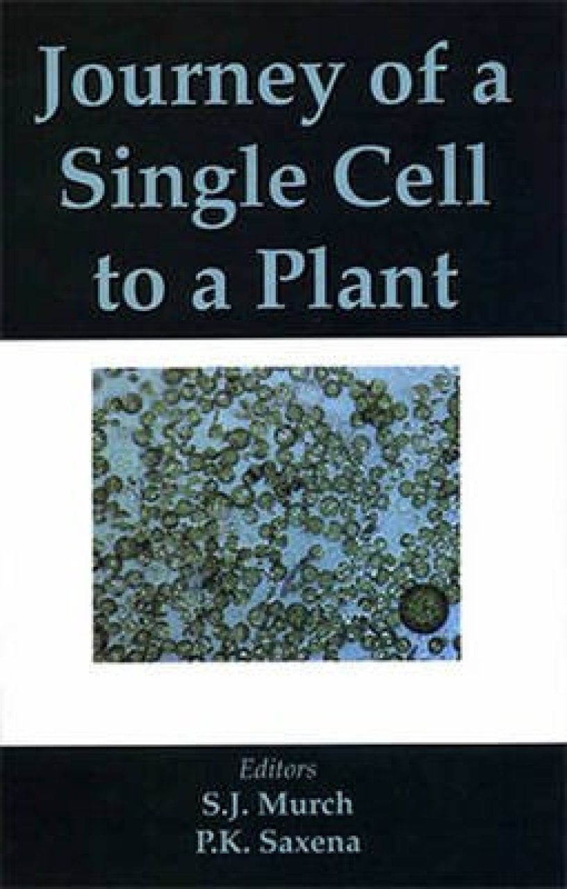 Journey of a Single Cell to Plant | NHBS Academic & Professional Books