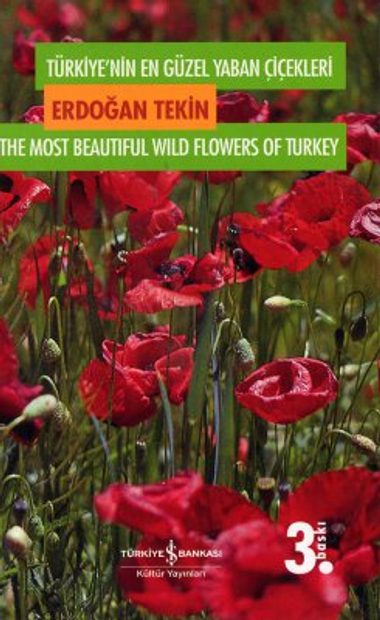 The Most Beautiful Wild Flowers of Turkey | NHBS Field Guides & Natural ...
