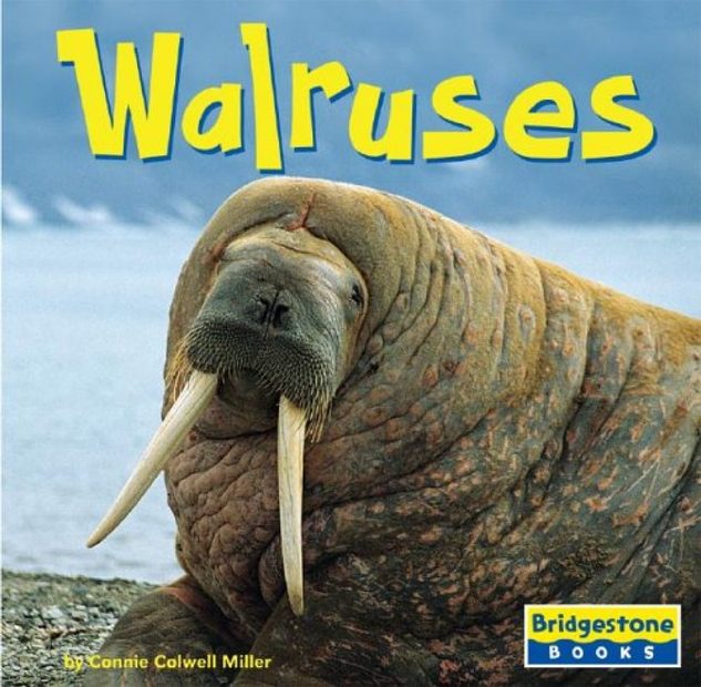 Walruses | NHBS Academic & Professional Books
