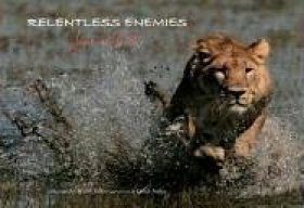 Relentless Enemies: Lions and Buffalo | NHBS Academic & Professional Books