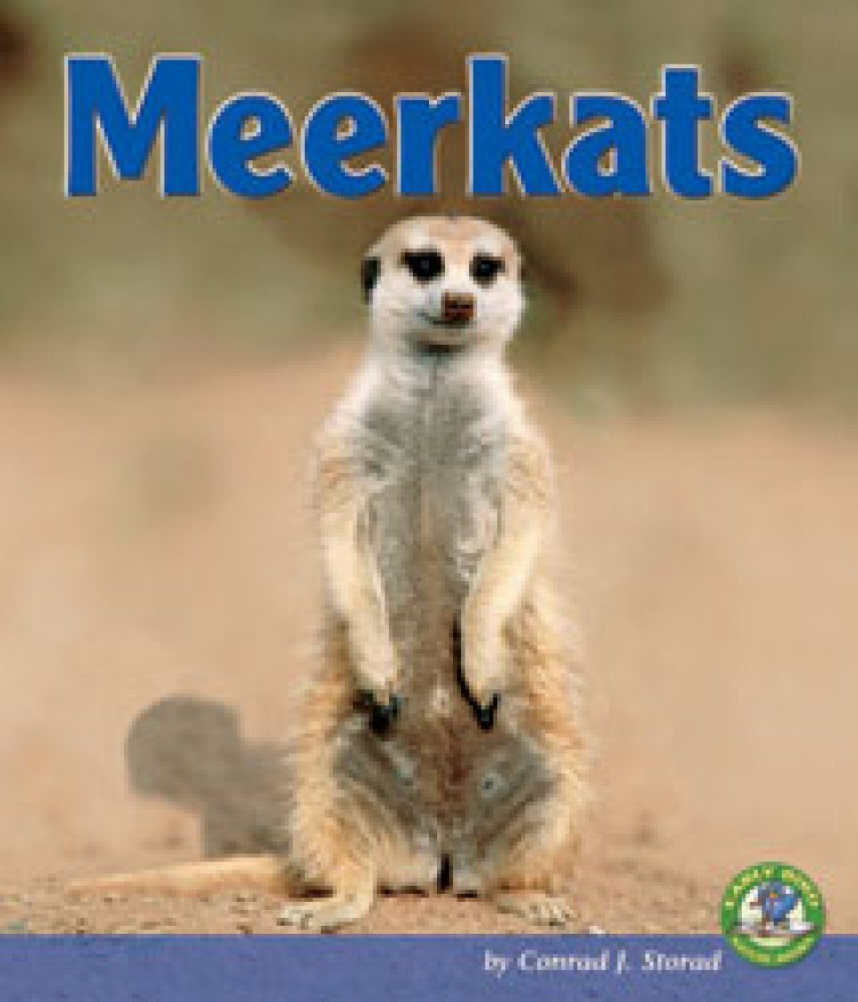 Meerkats | NHBS Academic & Professional Books