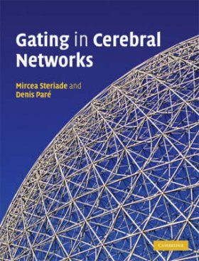Gating in Neuronal Networks | NHBS Academic & Professional Books