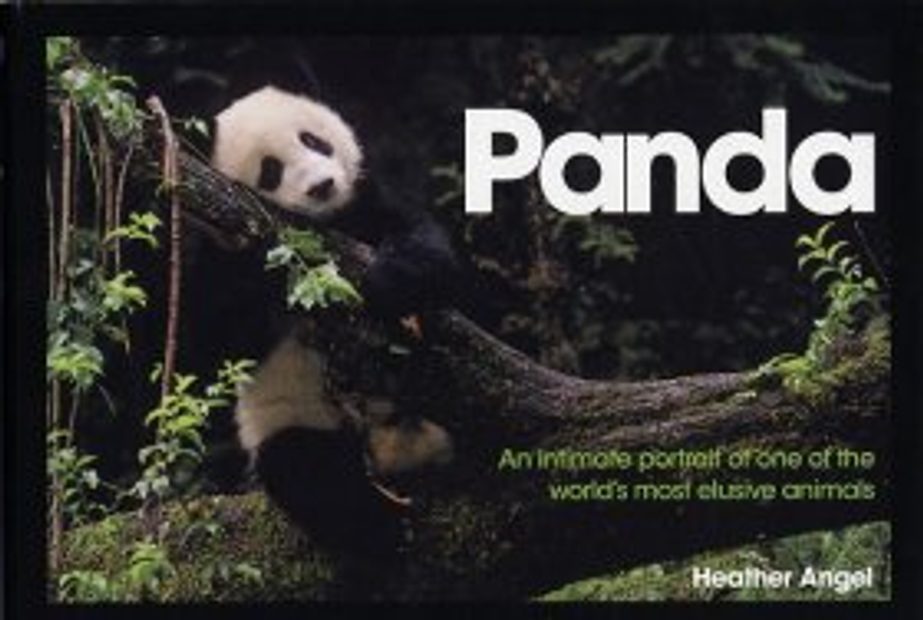 Panda | NHBS Academic & Professional Books