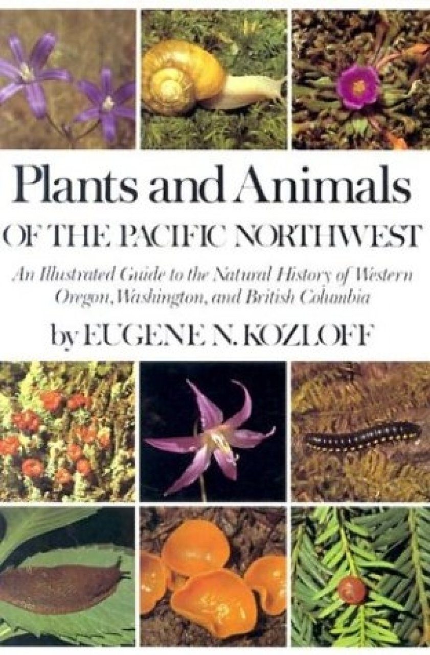 Plants and Animals of the Pacific Northwest | NHBS Field Guides ...