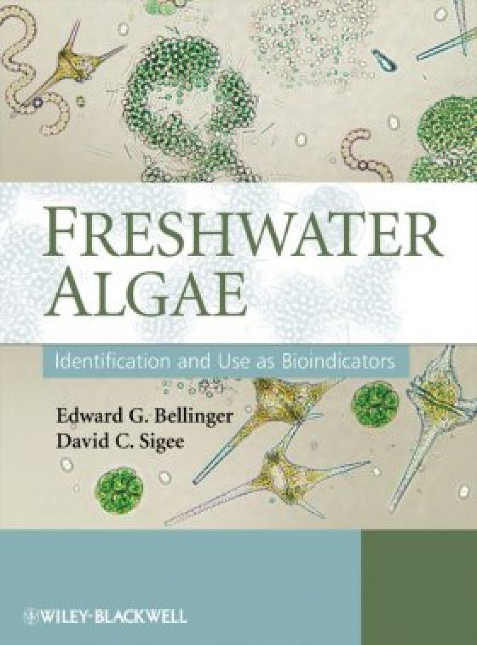 Freshwater Algae Identification Types Of Algae Reproduction,