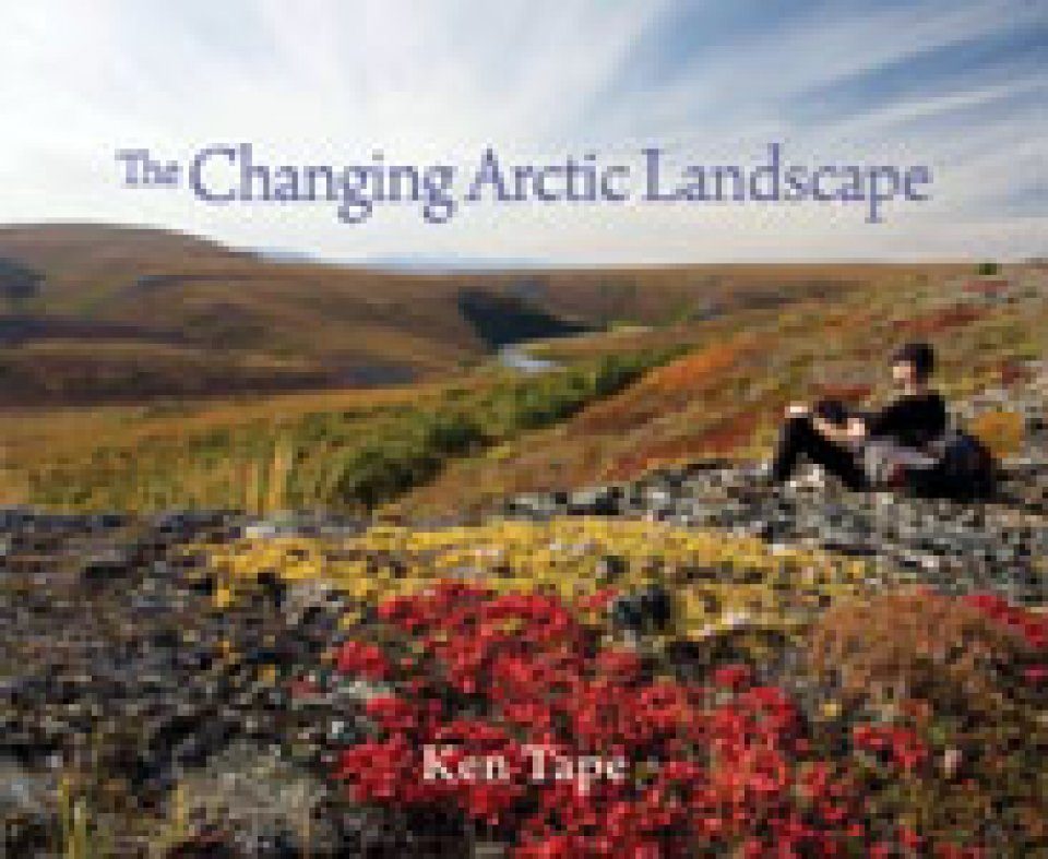The Changing Arctic Landscape | NHBS Academic & Professional Books