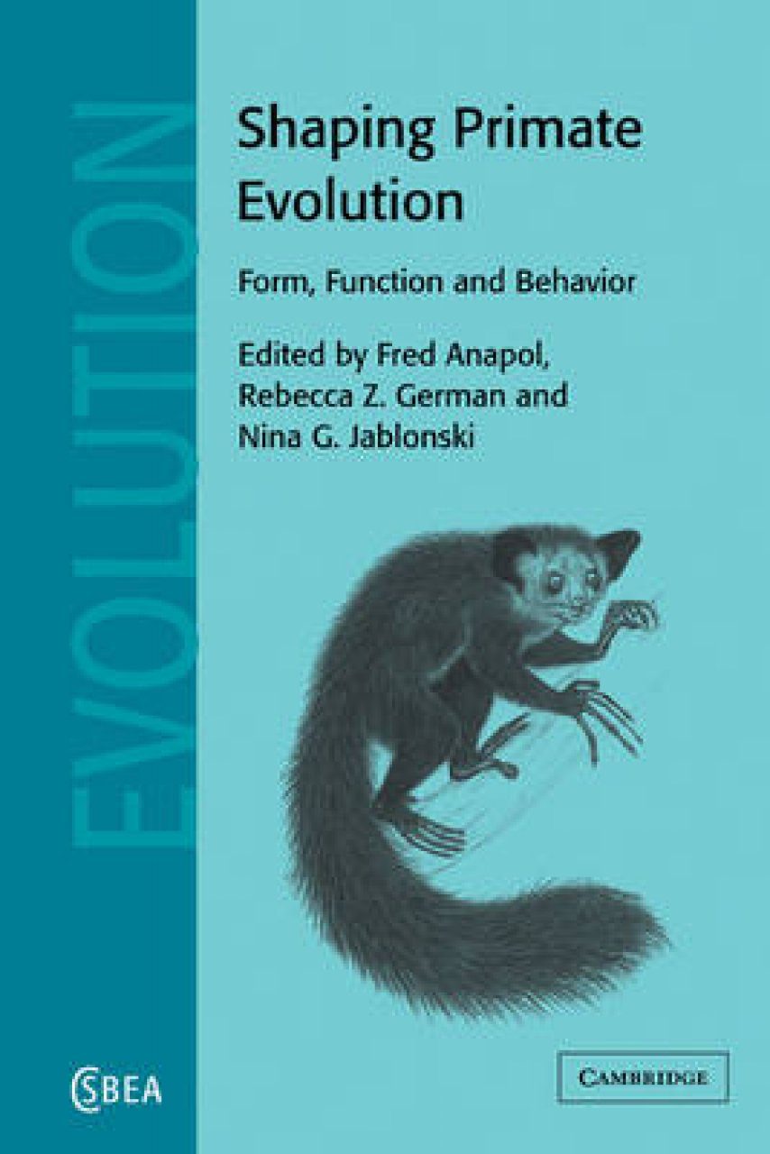 Shaping Primate Evolution: Form, Function and Behavior | NHBS Academic ...