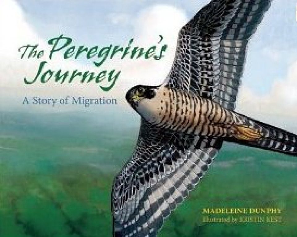 The Peregrine's Journey: A Story of Migration | NHBS Academic ...