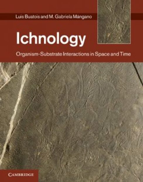 Ichnology: Organism-Substrate Interactions in Space and Time | NHBS ...