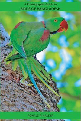 A Photographic Guide to Birds of Bangladesh | NHBS Field Guides ...