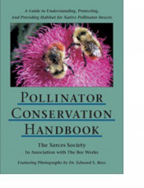 Pollinator Conservation Handbook | NHBS Field Guides & Natural History