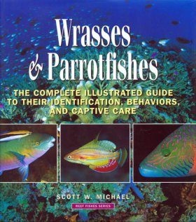 Wrasses and Parrotfishes | NHBS Field Guides & Natural History