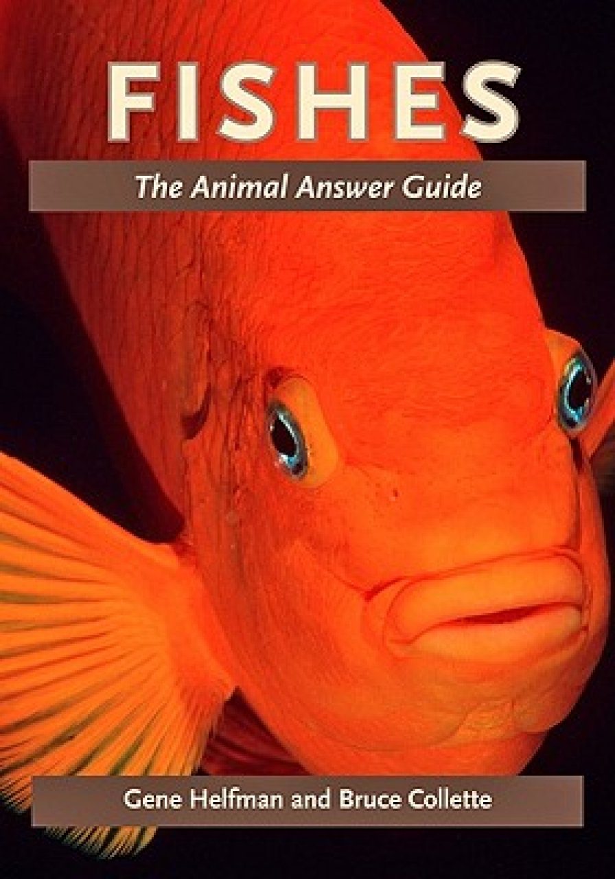 Fishes: The Animal Answer Guide | NHBS Academic & Professional Books