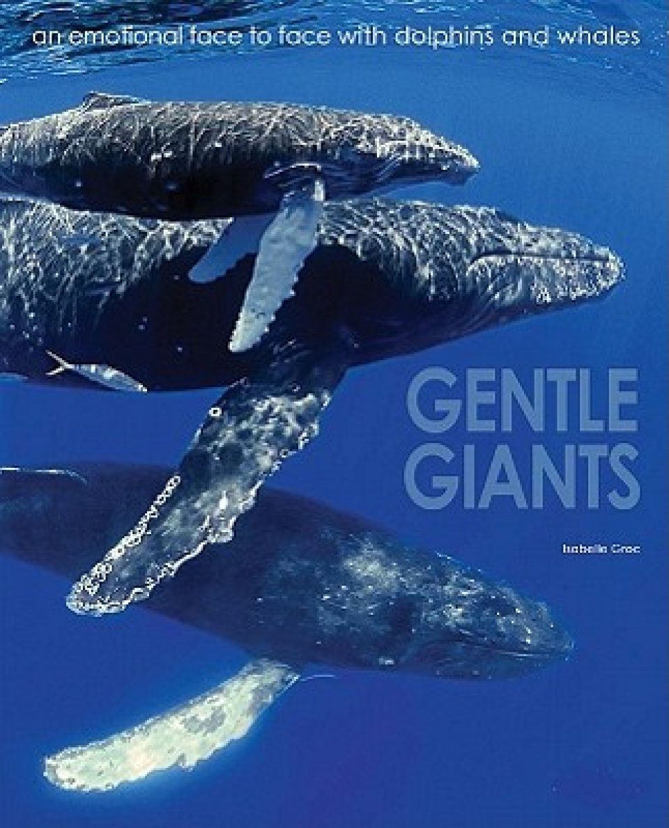 Gentle Giants: An Emotional Face to Face with Dolphins and Whales ...