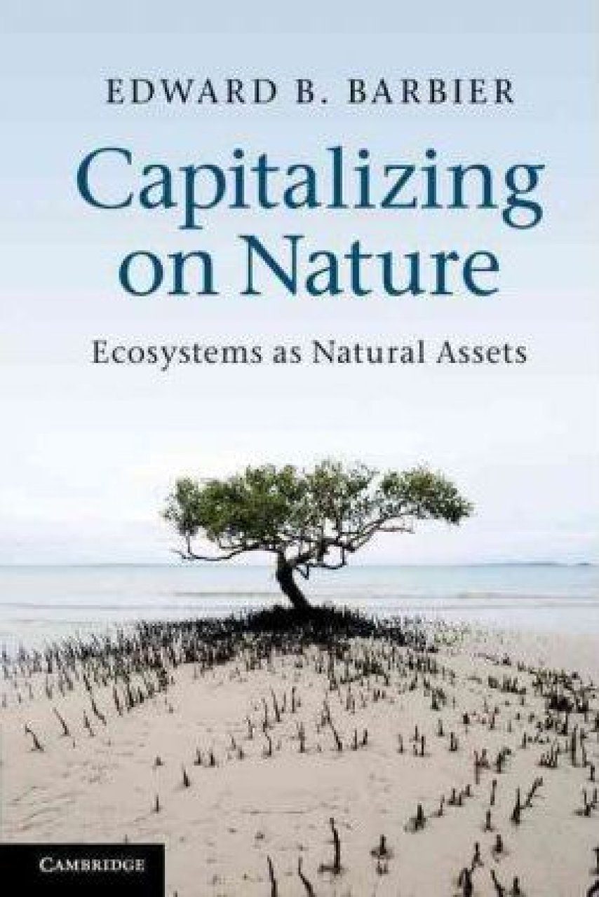 Capitalizing on Nature: Ecosystems as Natural Assets | NHBS Academic ...