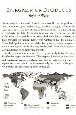 The Miracle of Trees: The Pocket Guide to Large Flowering Plants | NHBS ...